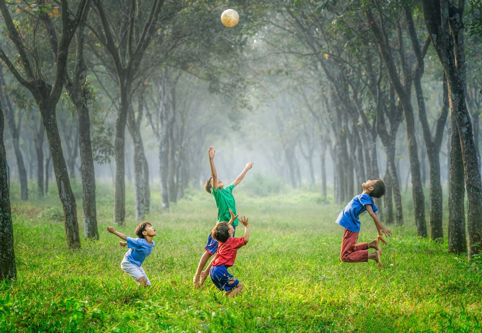 12 Best Movies and Documentaries on Sustainability on Netflix - Green ...